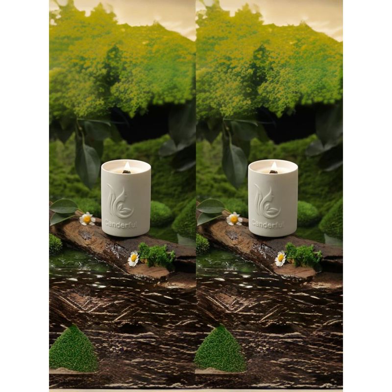 Buy The Better Home Wild Peach Bush Candles Online