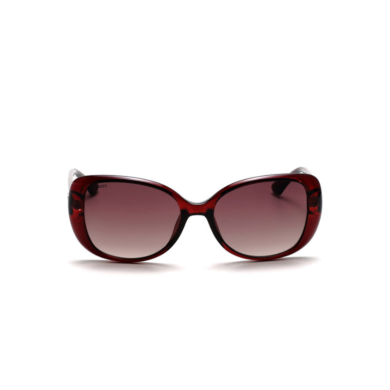 Buy Scott Brown Lens Cat Eye UV Protected Sunglass Full Rim Maroon ...