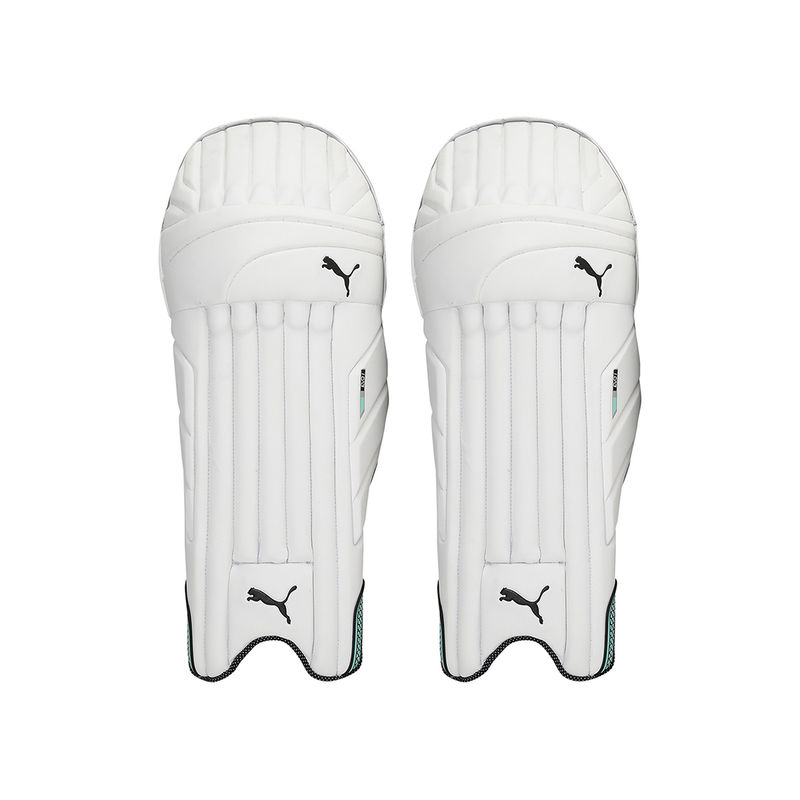 Buy Puma Evo 1 Batting Pad Online