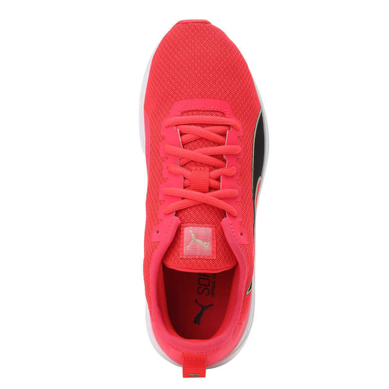 Buy Puma Accent Unisex Red Running Shoes Online