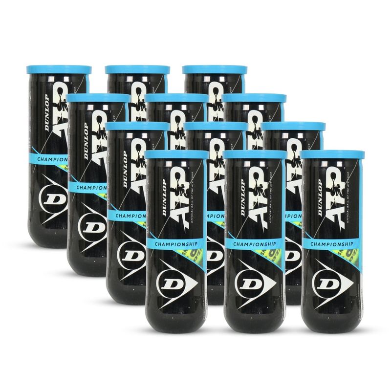 Buy Dunlop Sports Vector X ATP Championship 12 Cans with 36 Yellow ...
