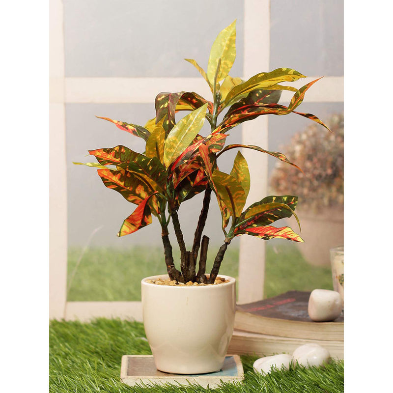 Buy PolliNation Artificial Bonsai in a Pot - Red Online Buy PolliNation Artificial Bonsai in a Pot - Red Online