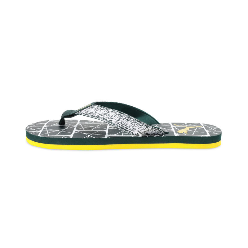 Buy Puma Multi-Color Ferric Unisex Flipflops Online