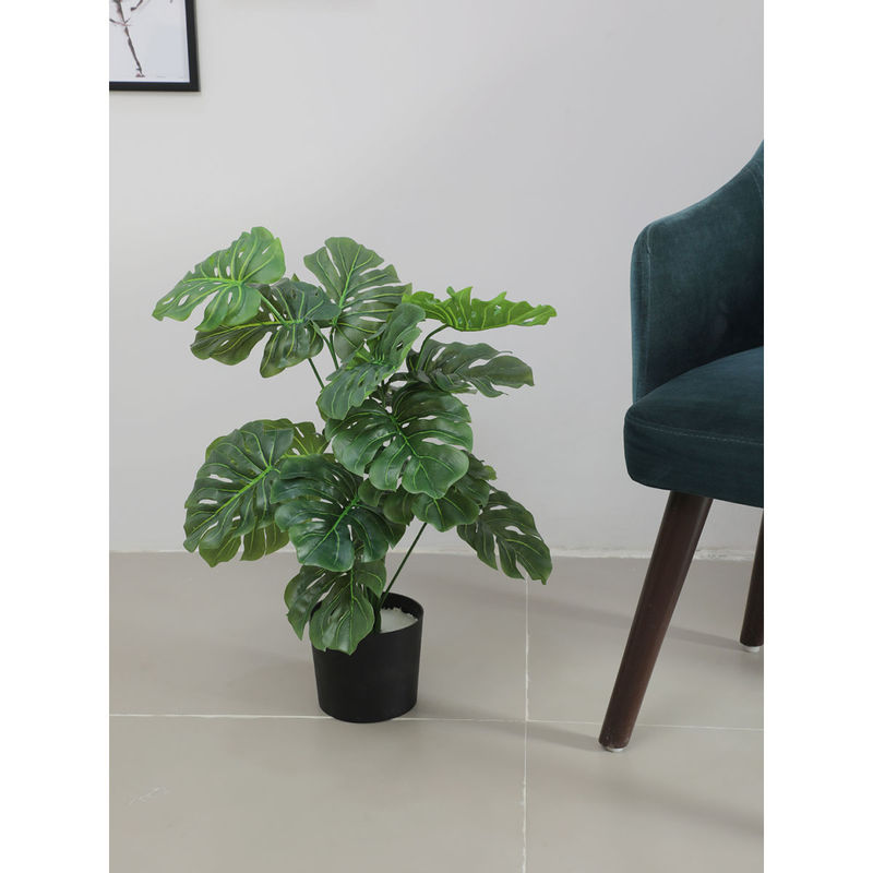 Buy Home Bloom Artificial Monstera Plant with Basic Black Pot 18 Green Leaves Big Online