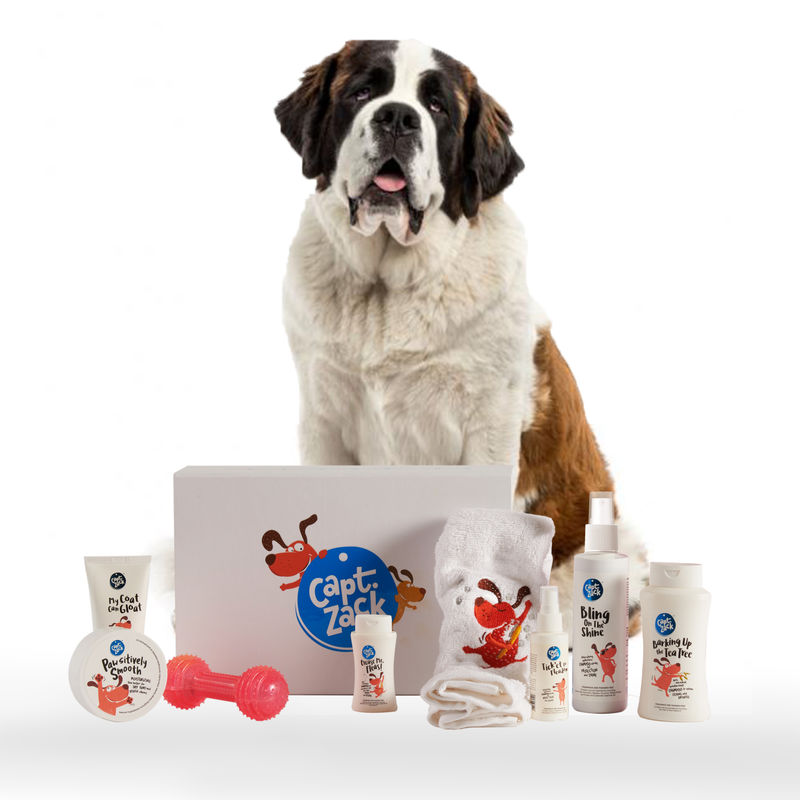 Buy Captain Zack - The St Bernard Groom Box Online