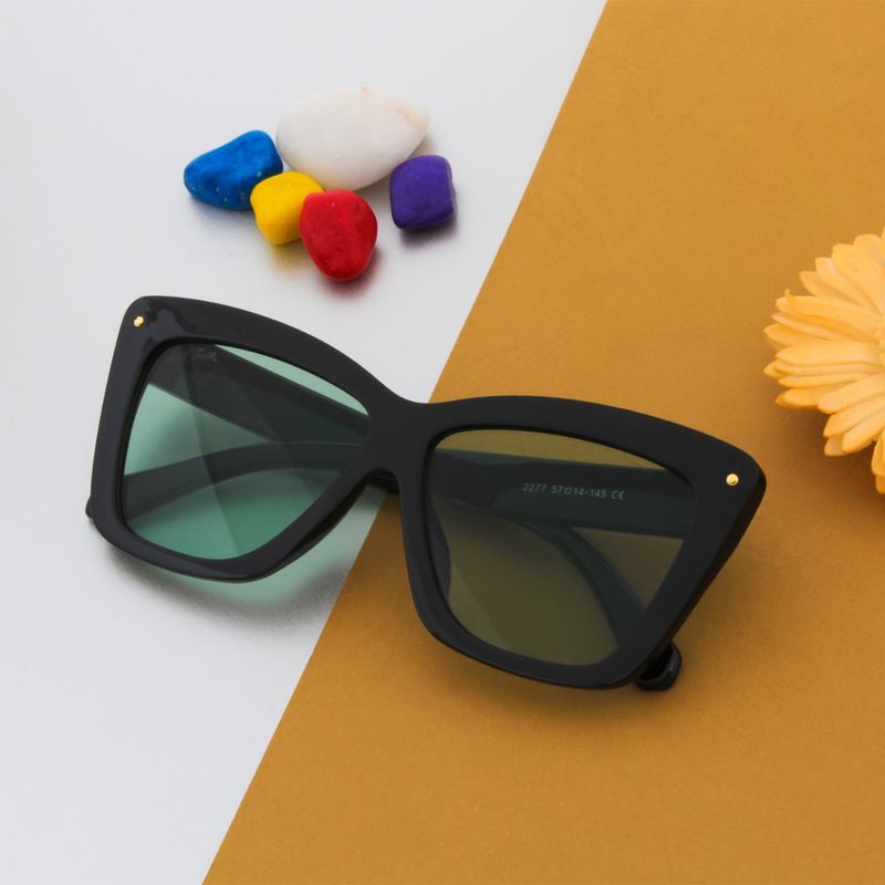 TED SMITH UV Protection Cat-Eye Sunglass For Men Women Polycarbonate ...