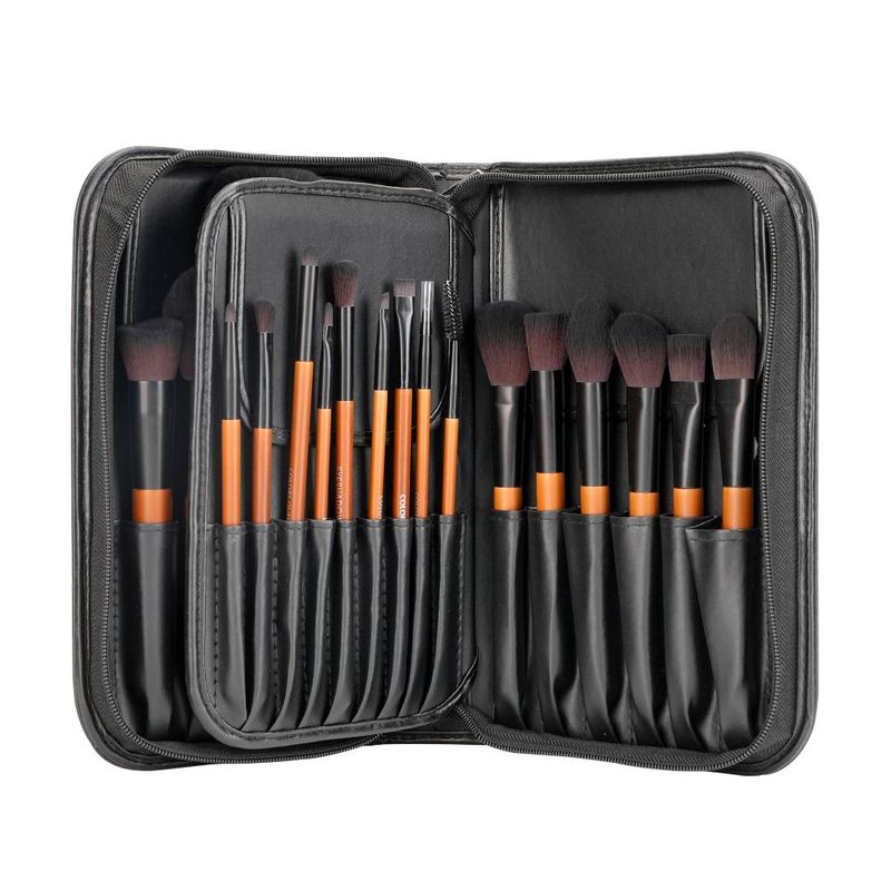 Buy Colors Queen Professional All in 1 Makeup Magic Brush Set Online