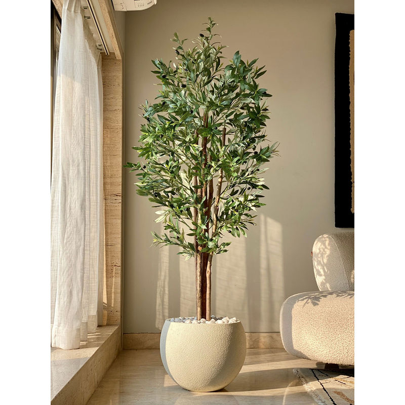 Buy Mason Home Artificial Tropical Olive Plant Online