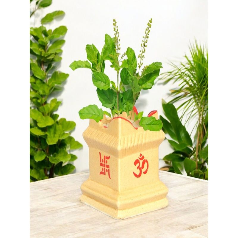 Buy Ecofynd 6 Inches Yellow Tulsi Ceramic Plant Pots Online