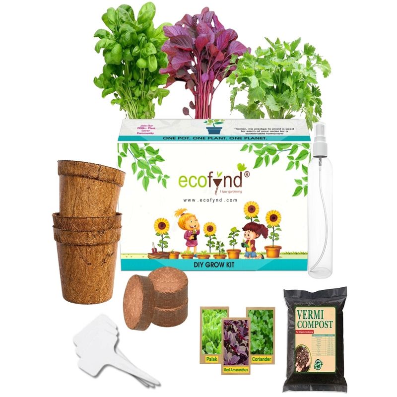 Buy Ecofynd 3 In 1 Diy Leafy Vegetable Grow Kits: Red Amaranth, Spinach & Coriander Online