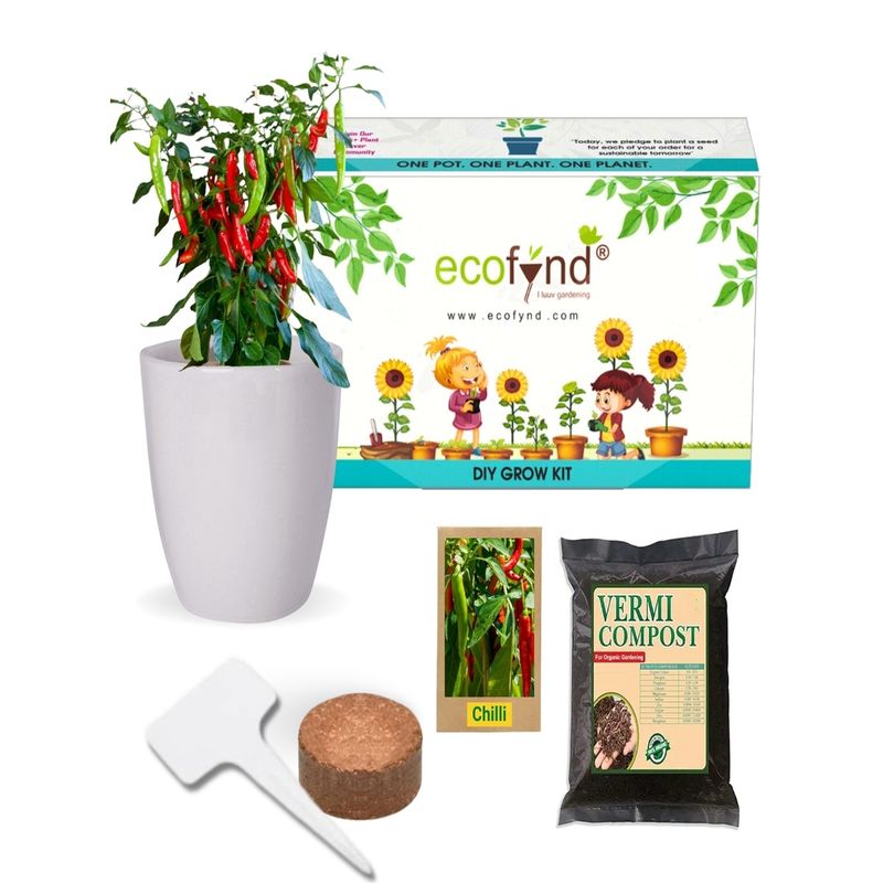 Buy Ecofynd Diy Grow Kit for Chilli Pepper Plant Online