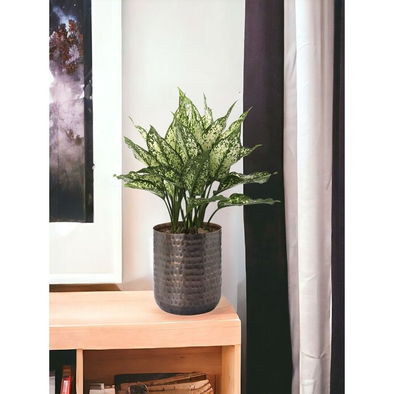 Buy Ecofynd 5.5 Inches Copper Adam Metal Plant Pot Online