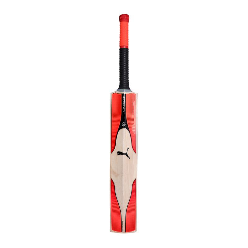 Buy Puma Evo Speed 7.17 Unisex Orange Cricket Bat Online