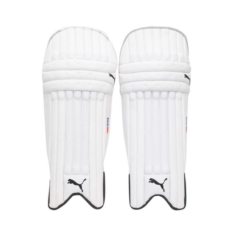 Buy Puma Evo 3 Unisex Blue Cricket Batting Pads Online
