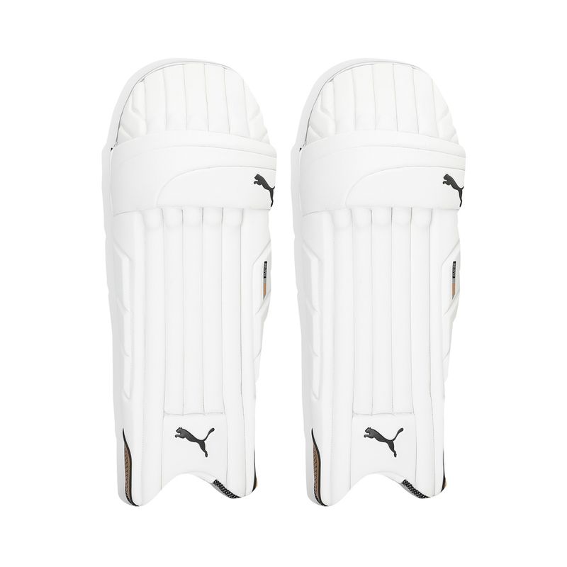 Buy Puma Evo Se Unisex Gold Cricket Batting Pads Online