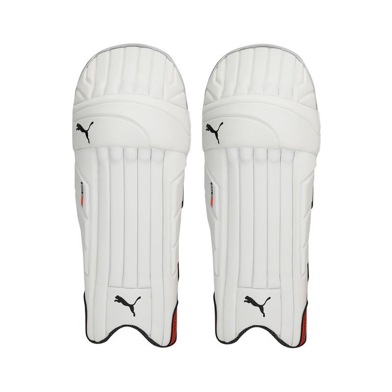 Buy Puma Evo 2 Unisex Red Cricket Batting Pads Online