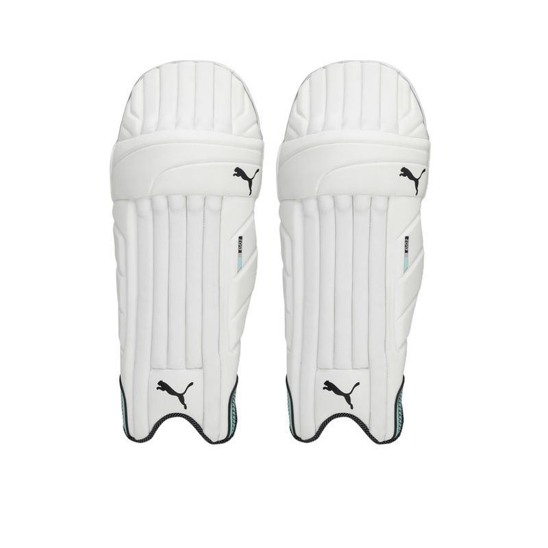 Buy Puma Evo 2 Unisex Green Cricket Batting Pads Online