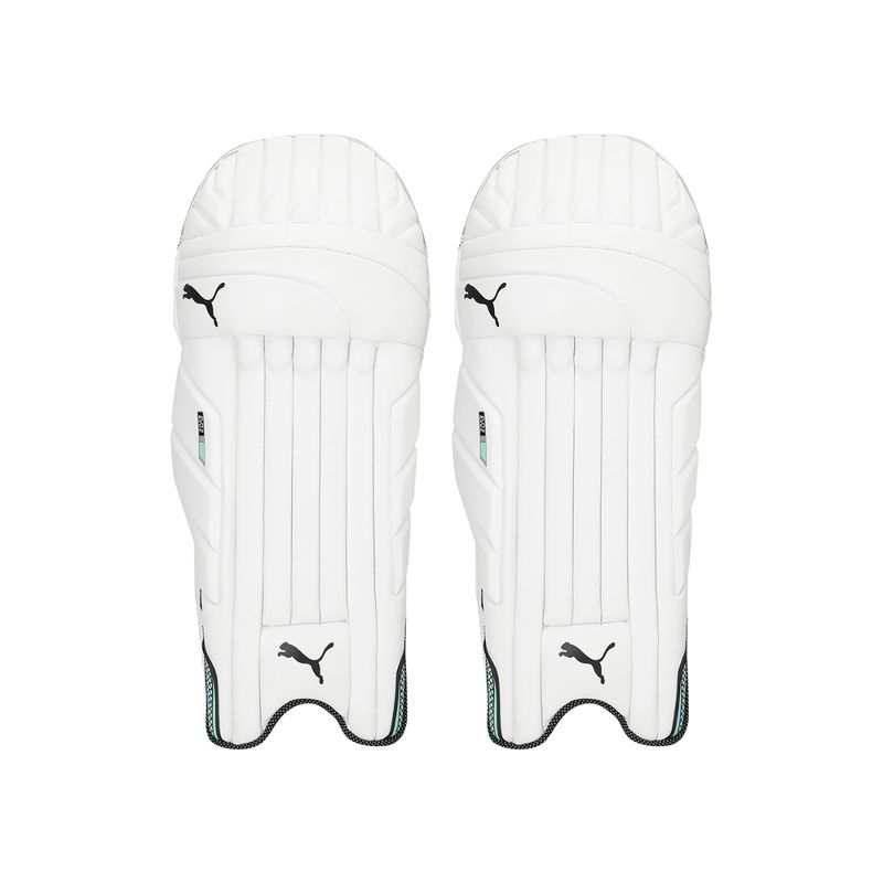 Buy Puma Evo 2 Unisex Green Cricket Batting Pads Online