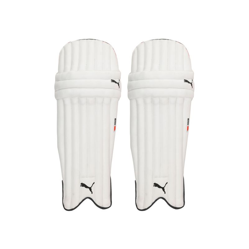 Buy Puma Evo 6 Unisex Red Cricket Batting Pads Online