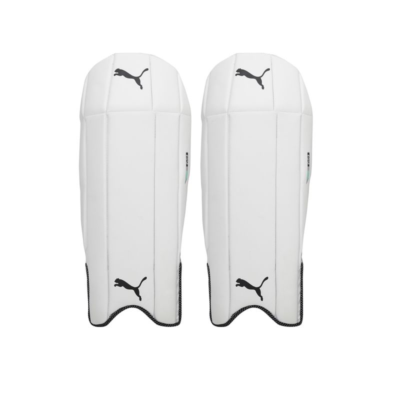 Buy Puma Evo 3 Unisex Green Cricket Wicket Keeper Pad Online