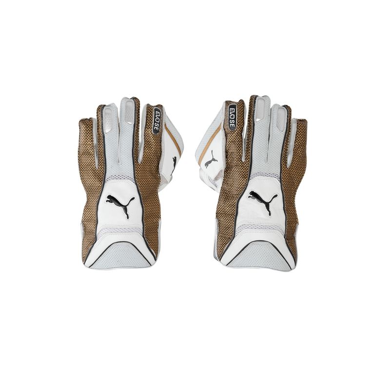 Buy Puma Evo Se Unisex Gold Cricket Wicket Keeping Gloves Online