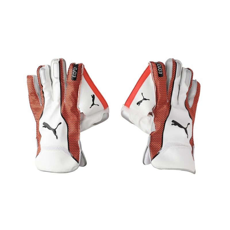 Buy Puma Evo 3 Unisex Red Cricket Wicket Keeping Gloves Online