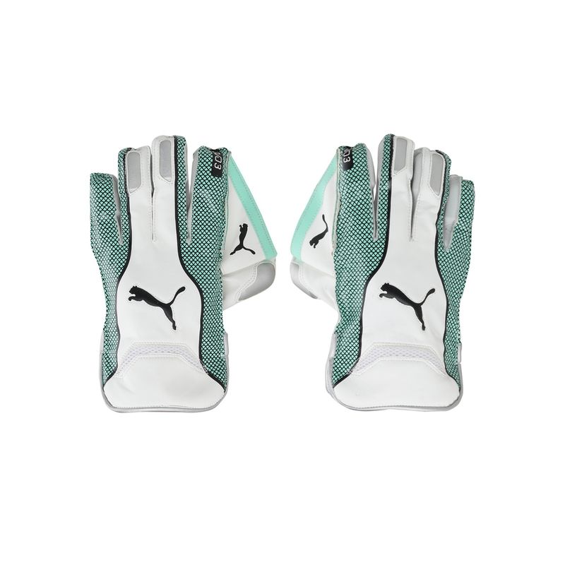 Buy Puma Evo 3 Unisex Green Cricket Wicket Keeping Gloves Online