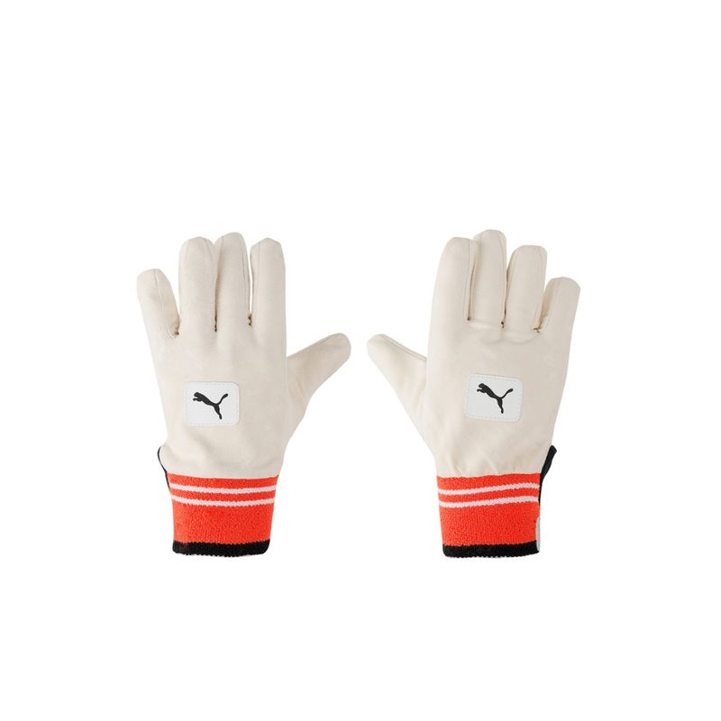 Buy Puma Evo Unisex Red Cricket Wicket Keeping Gloves Online