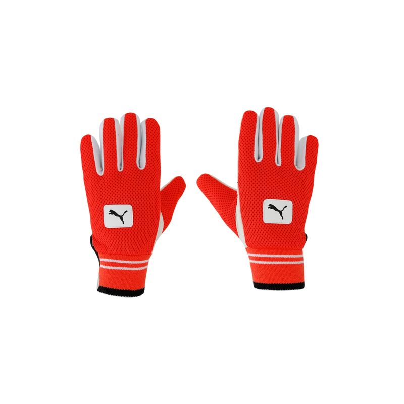 Buy Puma Evo Unisex Red Cricket Wicket Keeping Gloves Online
