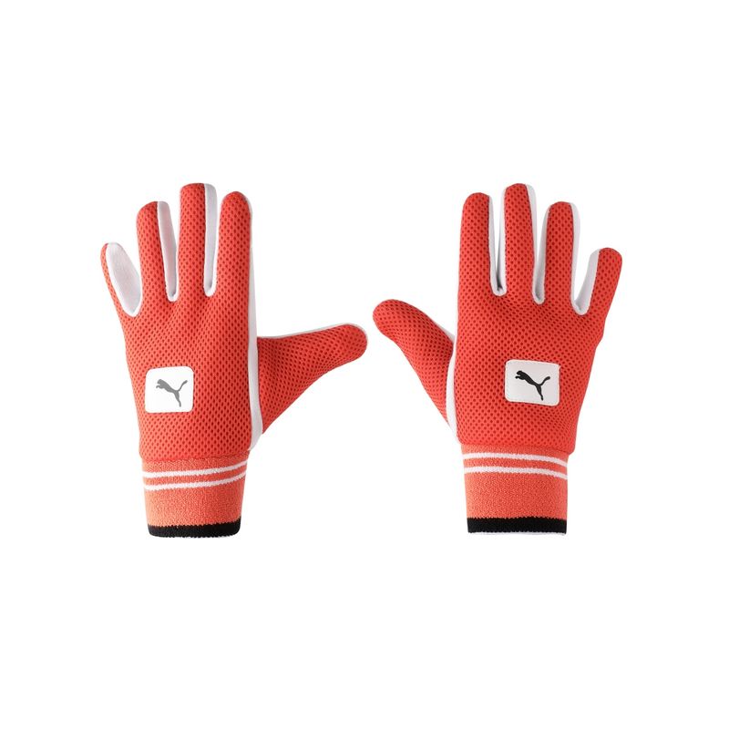 Buy Puma Evo Unisex Red Cricket Wicket Keeping Gloves Online