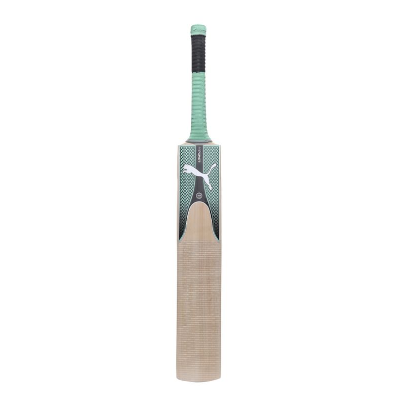 Buy Puma Evo Power Kw 2 Unisex Green Cricket Bat Online