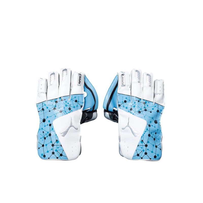 Buy Puma Future 20.2 Unisex Blue Cricket Wicket Keeping Gloves Online