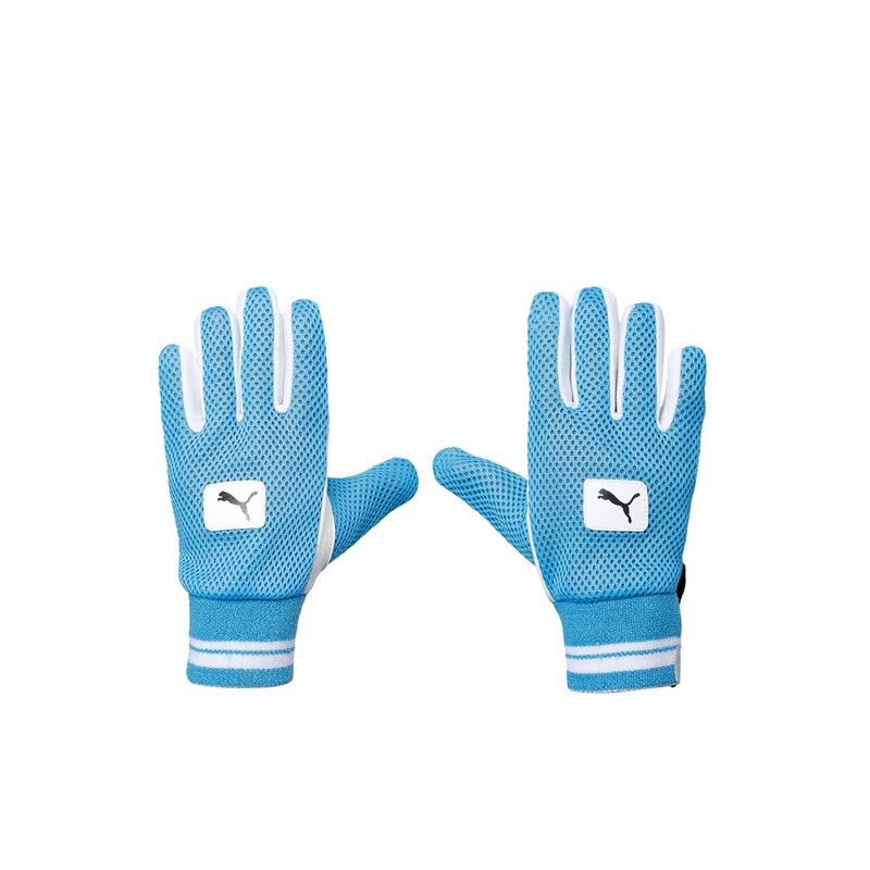 Buy Puma Future 20.2 Unisex Blue Cricket Wicket Keeping Gloves Online