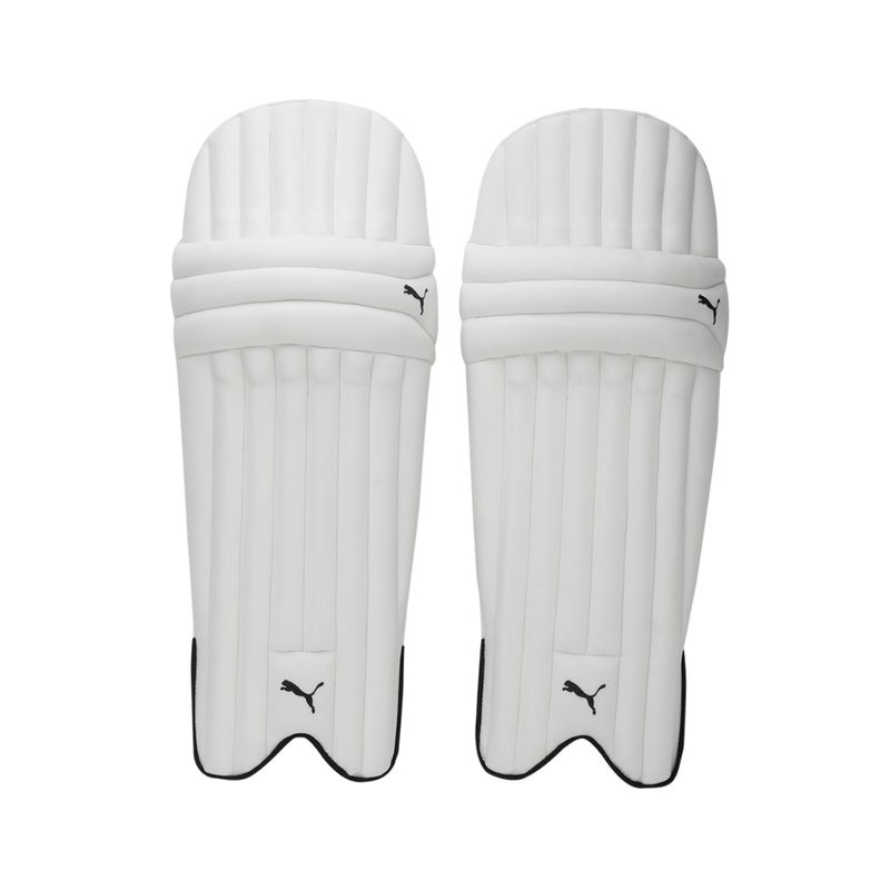 Buy Puma Future 20.5 Unisex Black Cricket Batting Pads Online