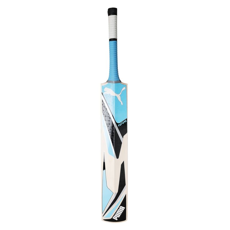 Buy Puma Future 20.5 Ew Unisex Blue Cricket Bat Online