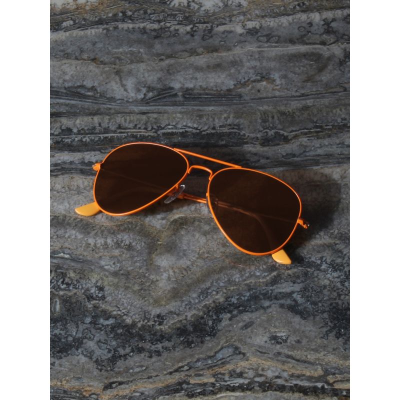 Buy TED SMITH Unisex Pilot Polarised Brown Sunglass-Cockpit_C6 Online