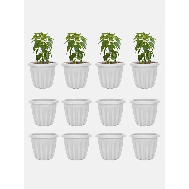 Buy Yuccabe Italia SHERA Floot 12-Inch White Plastic Flower Pot Set ...
