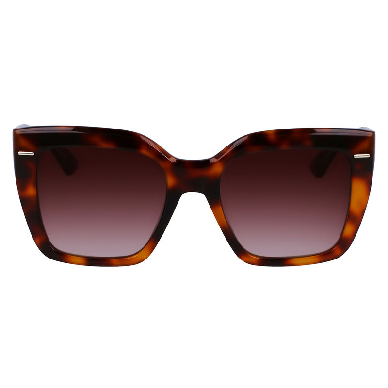 Buy Calvin Klein Demi Lens Rectangle Sunglass Demi Frame with UV ...