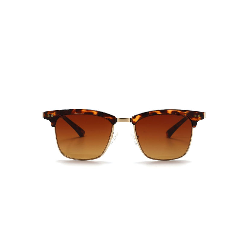 Buy French Connection Brown Lens Clubmaster Sunglass Full Rim Brown ...