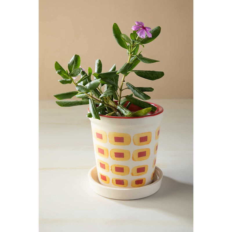 Buy Freedom Tree Dash Dash Ceramic Herb Planter Set Of 2 Red Online