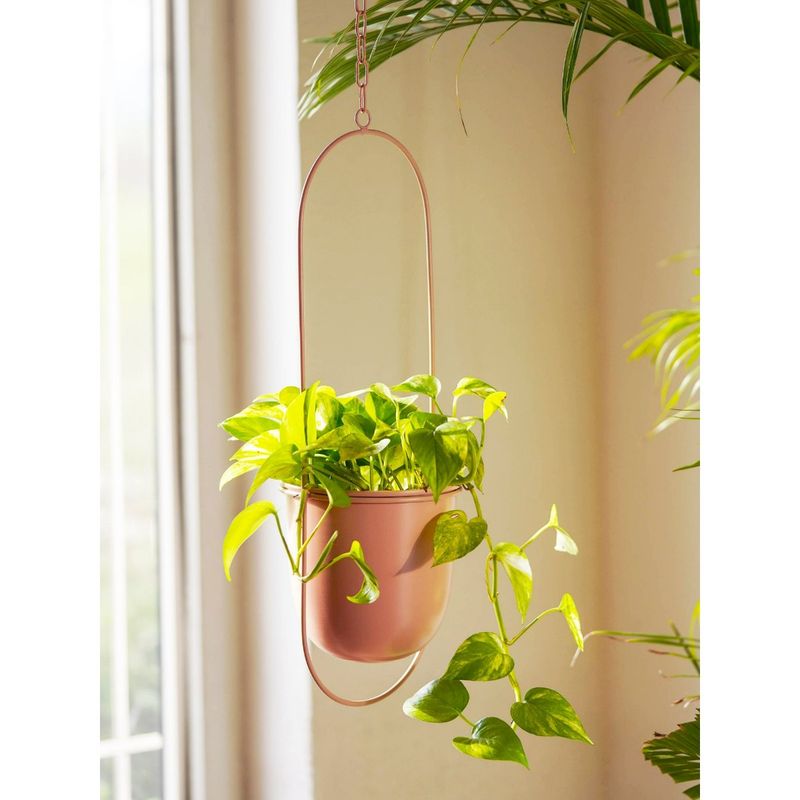 Buy Nurturing Green Pink Oval Hanging Metal Pot Stand with Planter Online