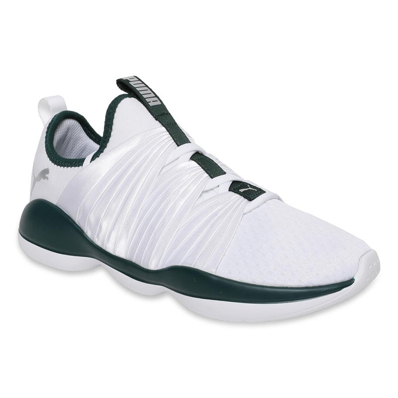 Buy Puma Women Flourish Cosmic WNS Sports Shoes - White Online