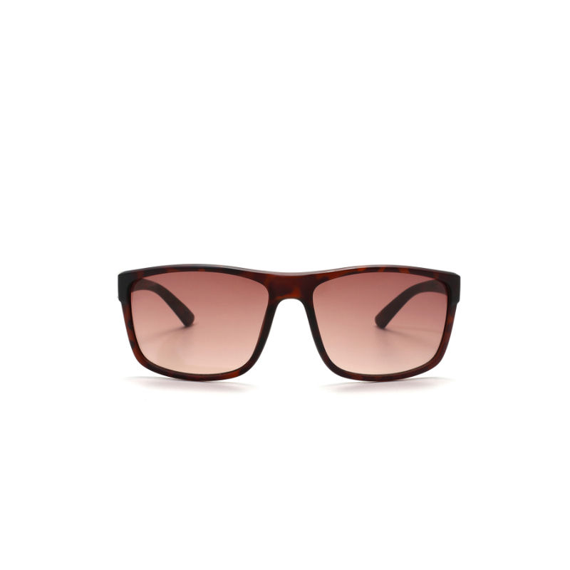 Buy French Connection Brown Lens Rectangular Sunglass Full Rim Brown ...