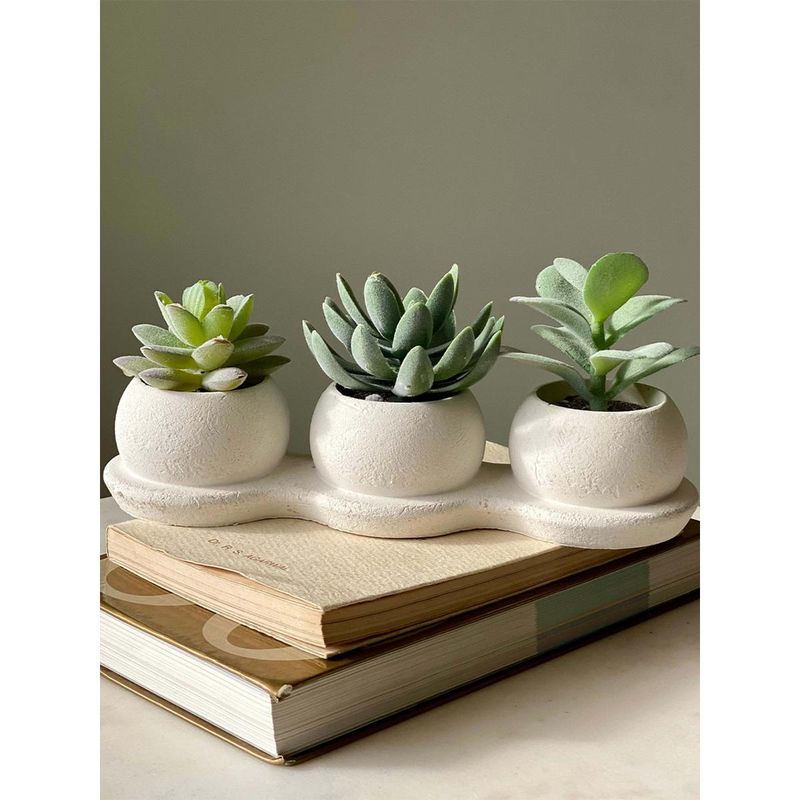 Buy Mason Home Artificial Potted Green Trio Succulent (Pack of 3) Online
