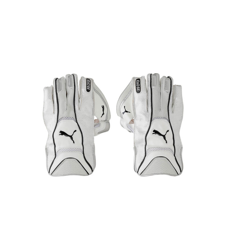 Buy Puma EVO SE Unisex White Cricket Wicket Keeping Gloves (M) Online