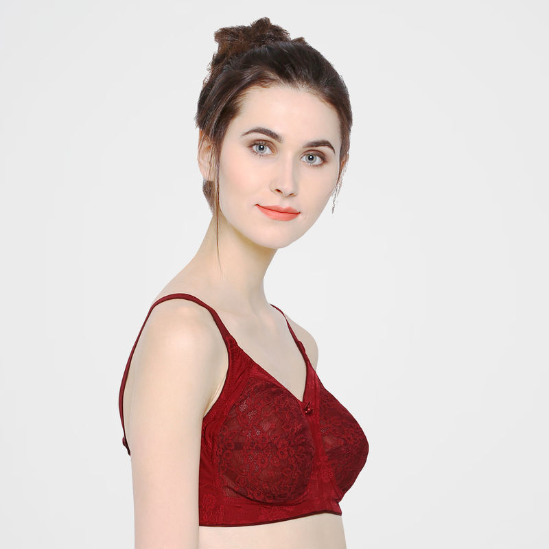 Buy Sonari Felina Women's Fancy Net Bra - Maroon (40D) Online