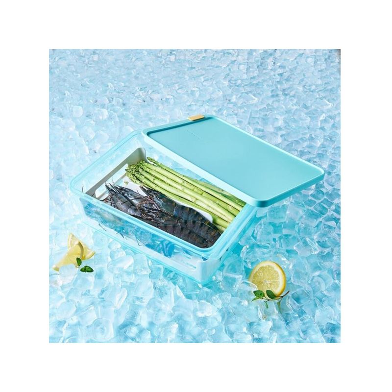 Buy Lock & Lock Freezer Fit Fridge BPA-Free Airtight Food Container Online