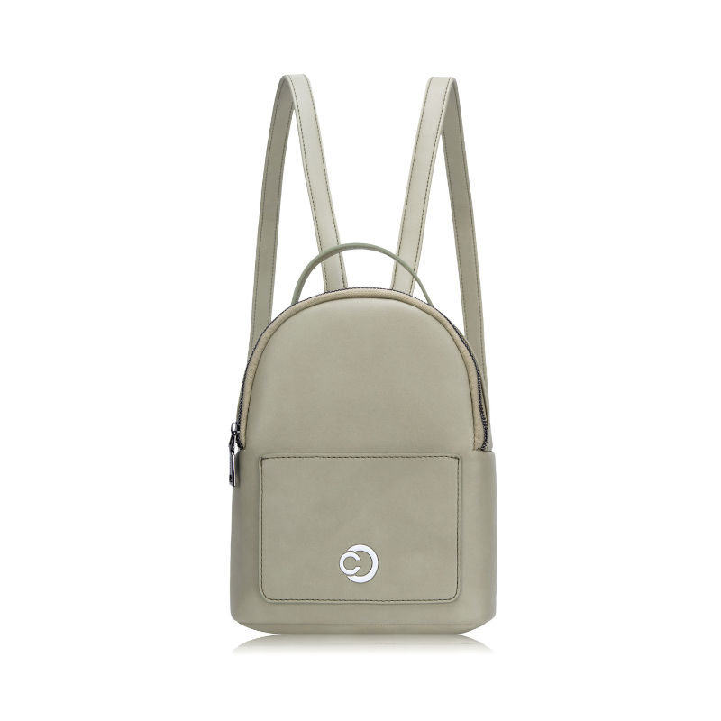 Buy Caprese Portia Pastel Green Small Backpack Online