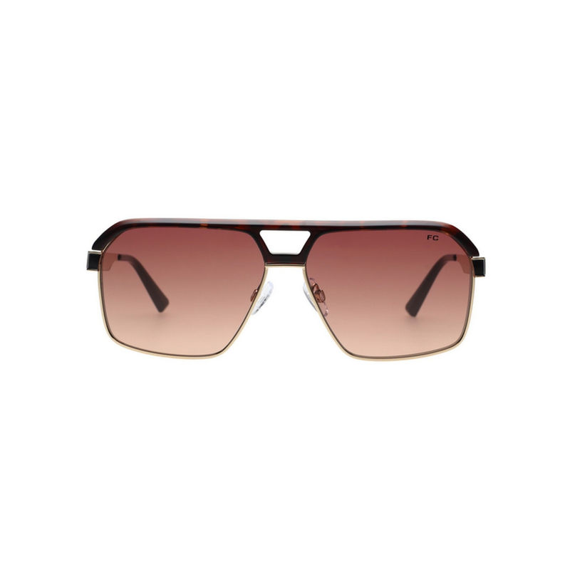 Buy French Connection Unisex Brown Gradient Lens Lt.Gold+Demi Navigator ...