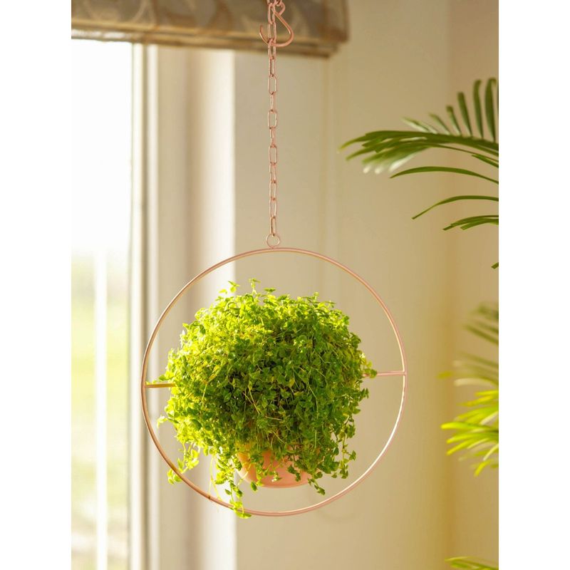 Nurturing Green Pink Hanging Metal Pot Stand with Planter: Buy Nurturing Green Pink Hanging ...